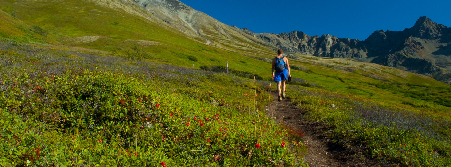 Matanuska-Susitna Borough - Home
