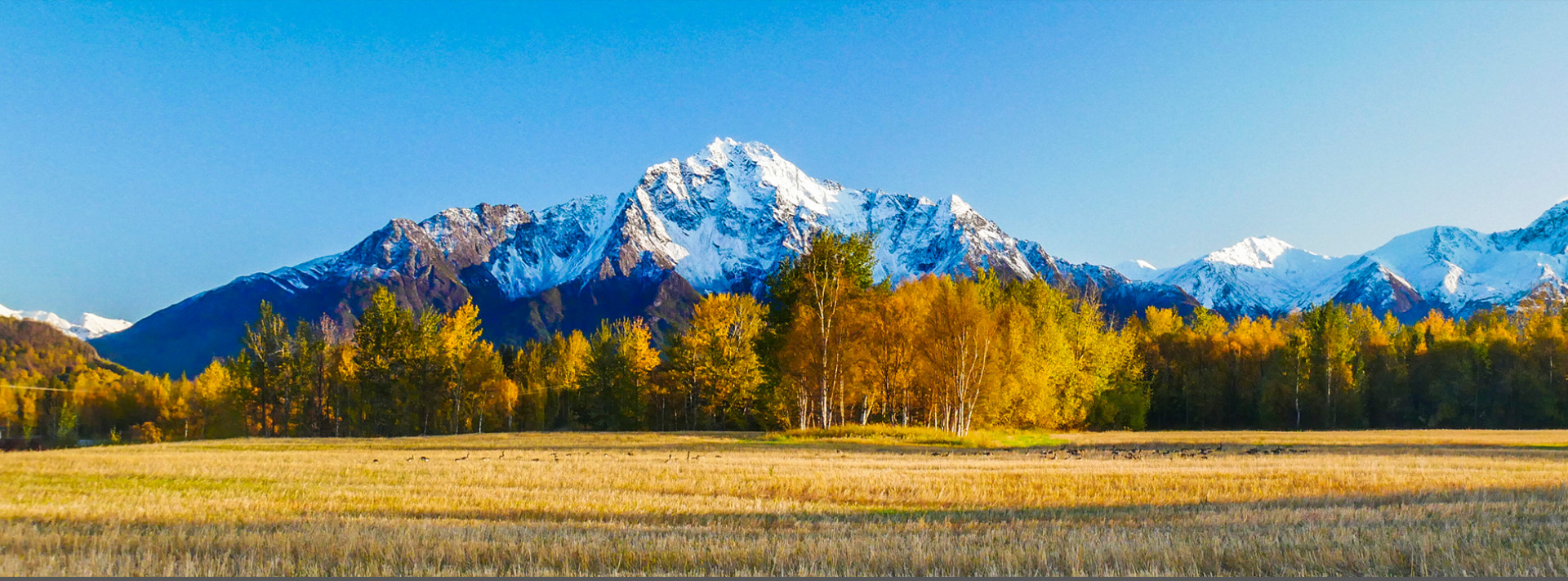Matanuska-Susitna Borough - Review Board Counts Outstanding Votes